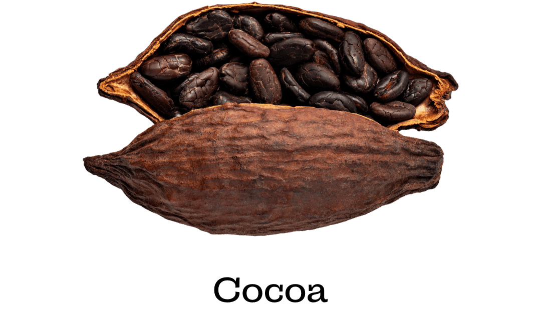 Short Stories – talesfromghana - Ghana